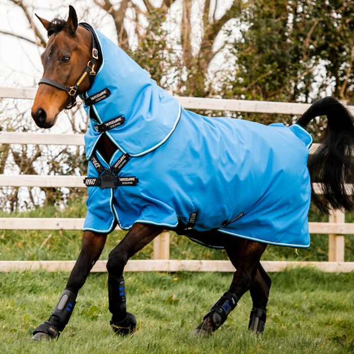 Blue Hero Horse